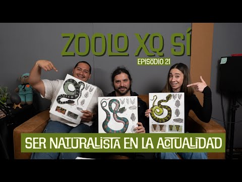 Ser NATURALISTA en la ACTUALIDAD | Zoolo XQ Sí | Episodio #21 feat. @historianatvrae