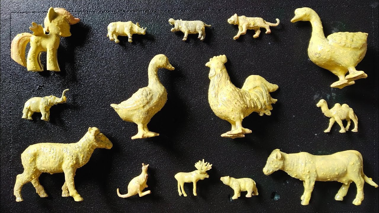 Membersihkan hewan sapi, bebek, angsa, ayam, kambing, badak, beruang ...