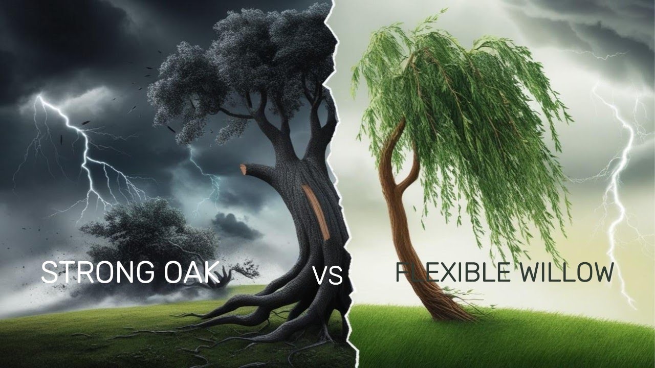 Strong Oak vs. Flexible Willow: A Parable About Strength and Resilience ...