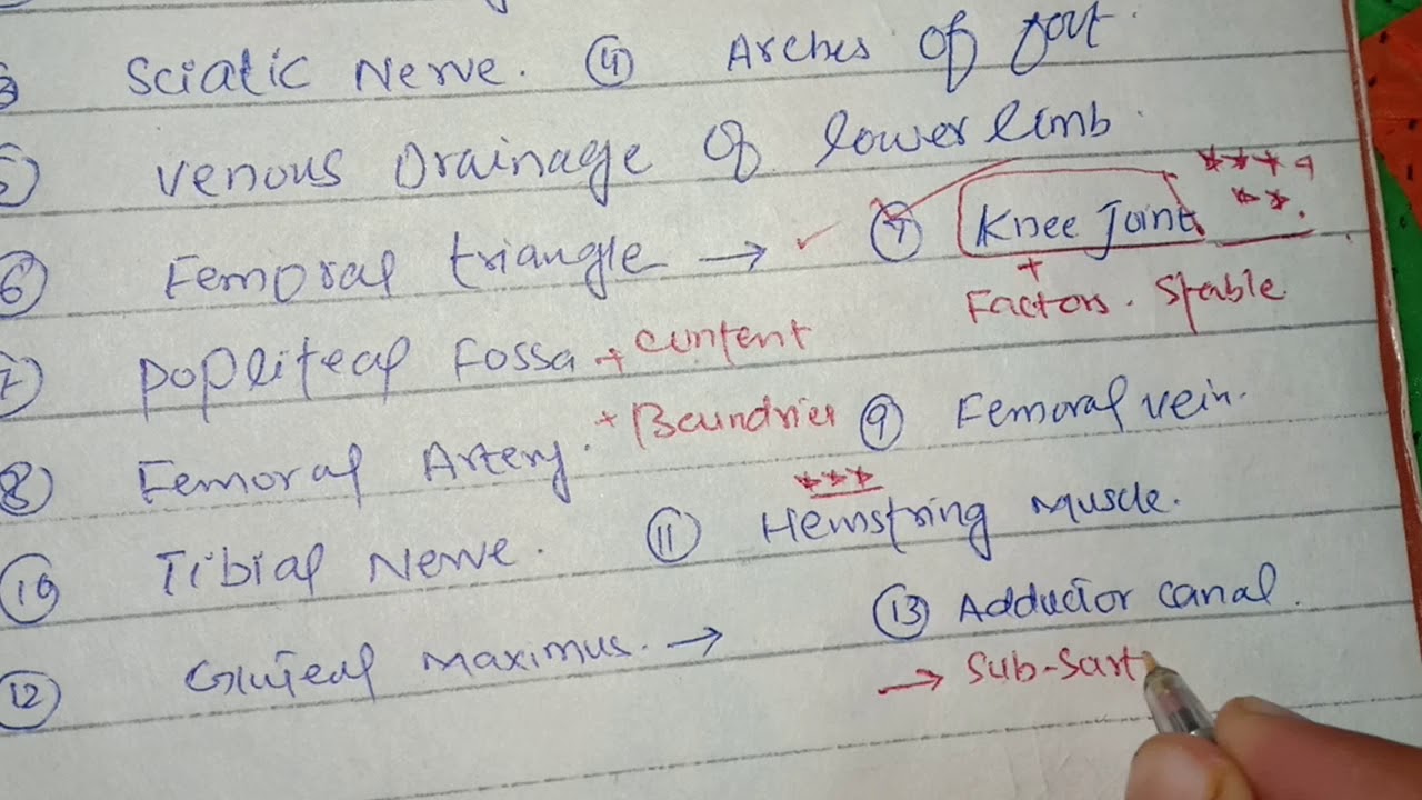 Important Topics Of Lower Limb Anatomy YouTube Important Topics Of Lower Limb Anatomy YouTube