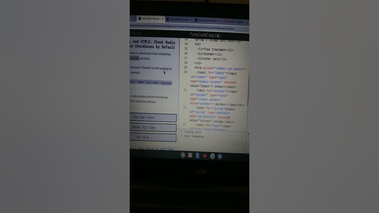 Freecodecamp check radio buttons and check boxes by default - YouTube