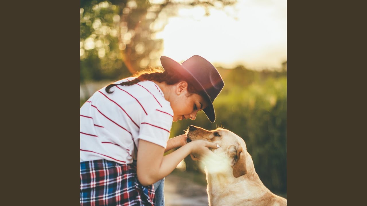 Majesty Design - YouTube