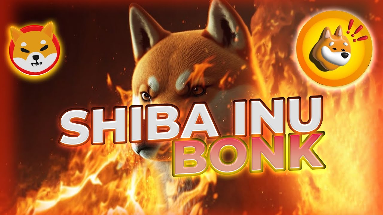ВОТ ПОЧЕМУ SHIBARIUM НЕ СЖИГАЕТ SHIB! СТОИТ-ЛИ ПОКУПАТЬ BONK И ЧТО ЭТО ...