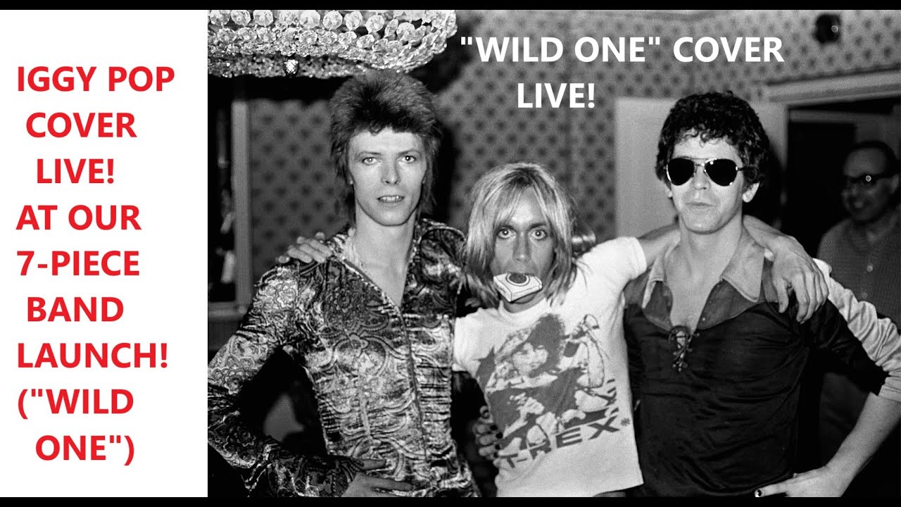 "Wild One" ~ LIVE! at our 7 piece band launch - YouTube