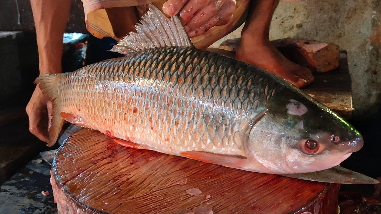 Fish Cutting I Beautiful Fish Cutting Style I Rui - YouTube