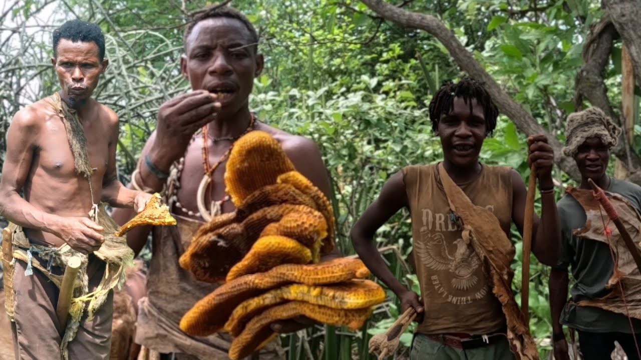 DISCOVER THE HADZA'S UNIQUE HONEY HUNTING TECHNIQUES, SHOWCASING THEIR ...