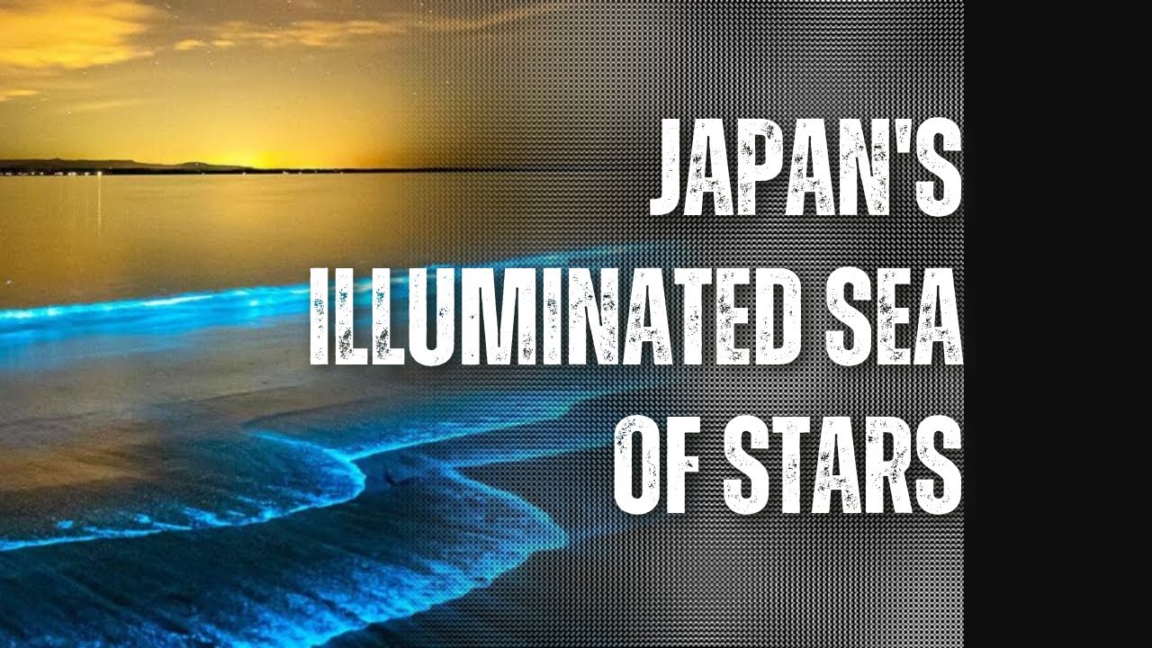 Japan's Illuminated Sea of Stars - YouTube