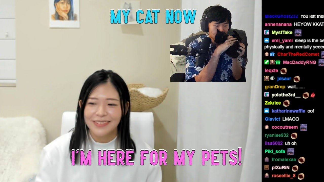 Toast Cat now COPIUM | Miyoung trying to take back her cat from Toast ...