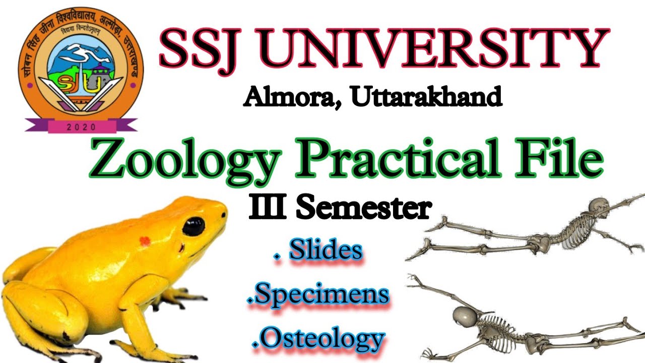 Zoology Practical File : lll sem || Specimens, Osteology, Slides || B ...