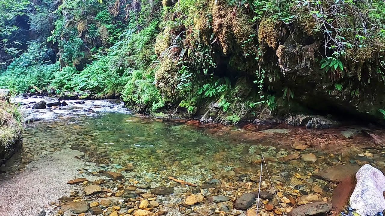 The most STUNNING streams are in IDAHO - INTRO to 3 weeks of camping ...