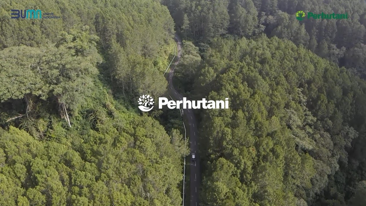 Perhutani Company Profile - YouTube
