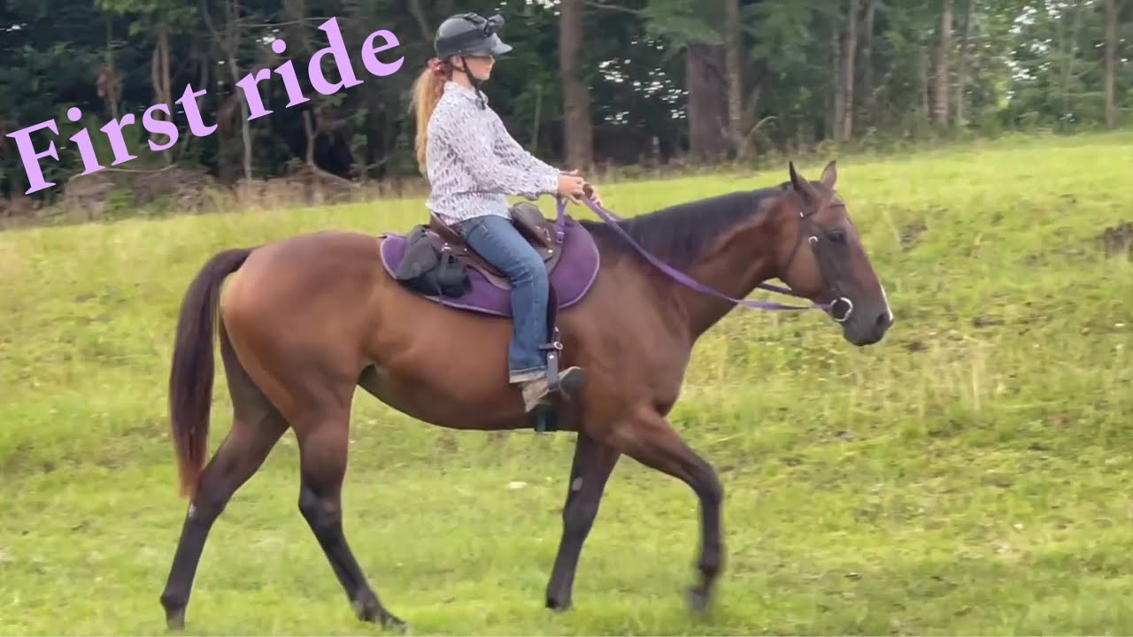 My First Ride on My New Horse - YouTube
