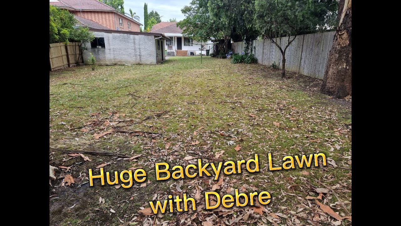 Massive Back Yard Clean up - YouTube