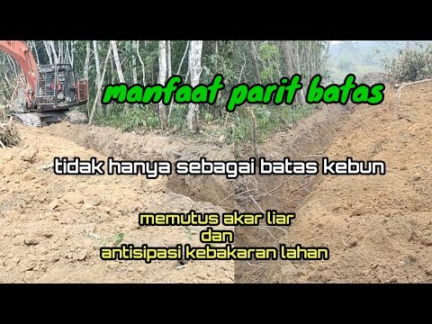 PEMBUATAN PARIT BATAS KEBUN - YouTube