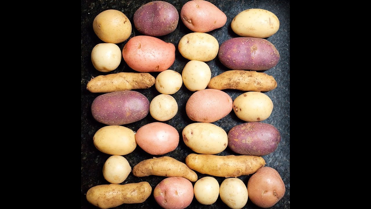 PotatoMagic Super Food Video 140313 - YouTube