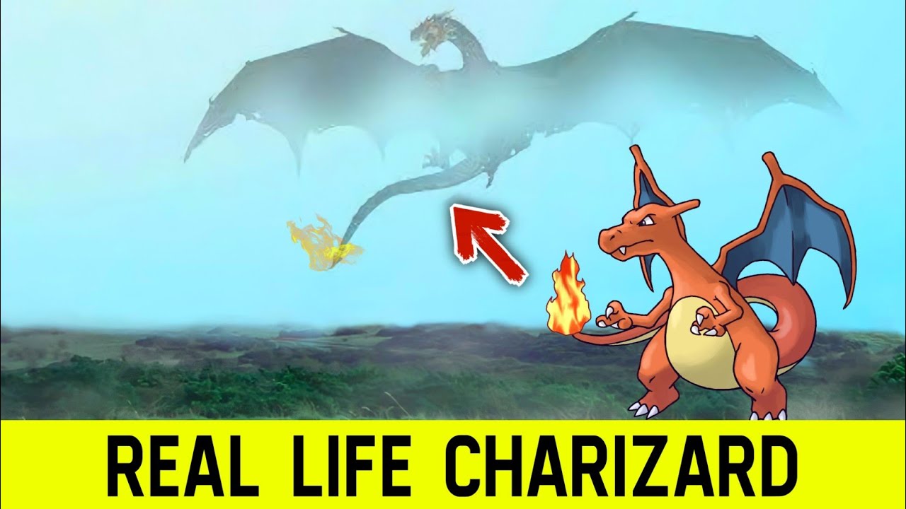Real Charizard