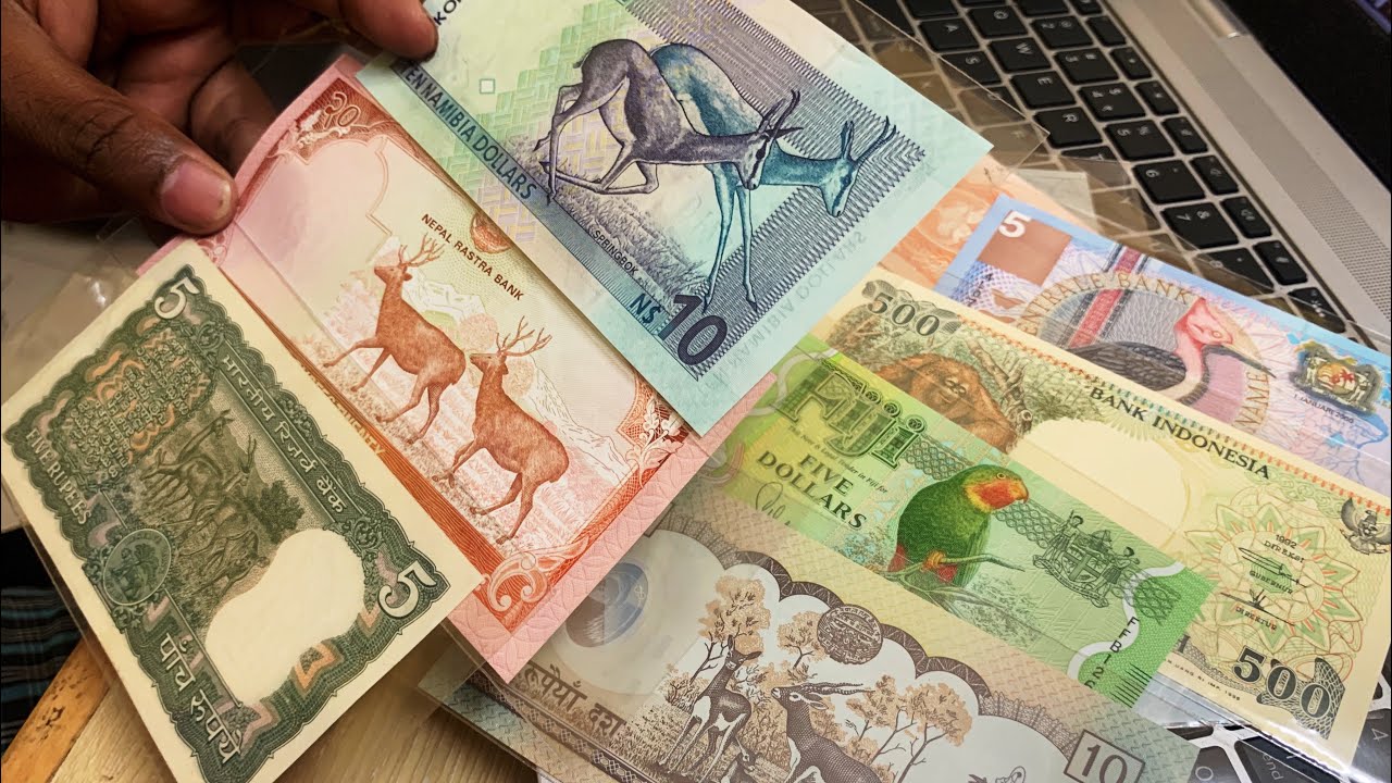 Beautiful Animals and birds in currency bank notes - Coin Collection ...