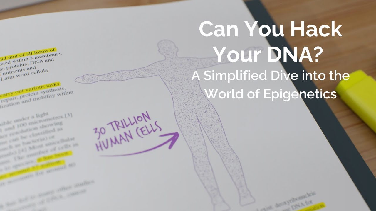 Can You Hack Your DNA? A Simplified Dive into the World of Epigenetics ...