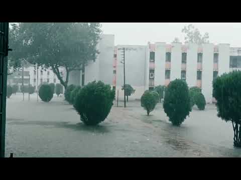Aligarh muslim university in rainy Season #amu_forms_2022
