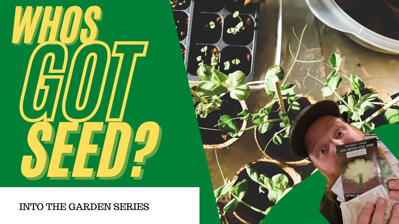 What are we growing this year?!?!? - YouTube