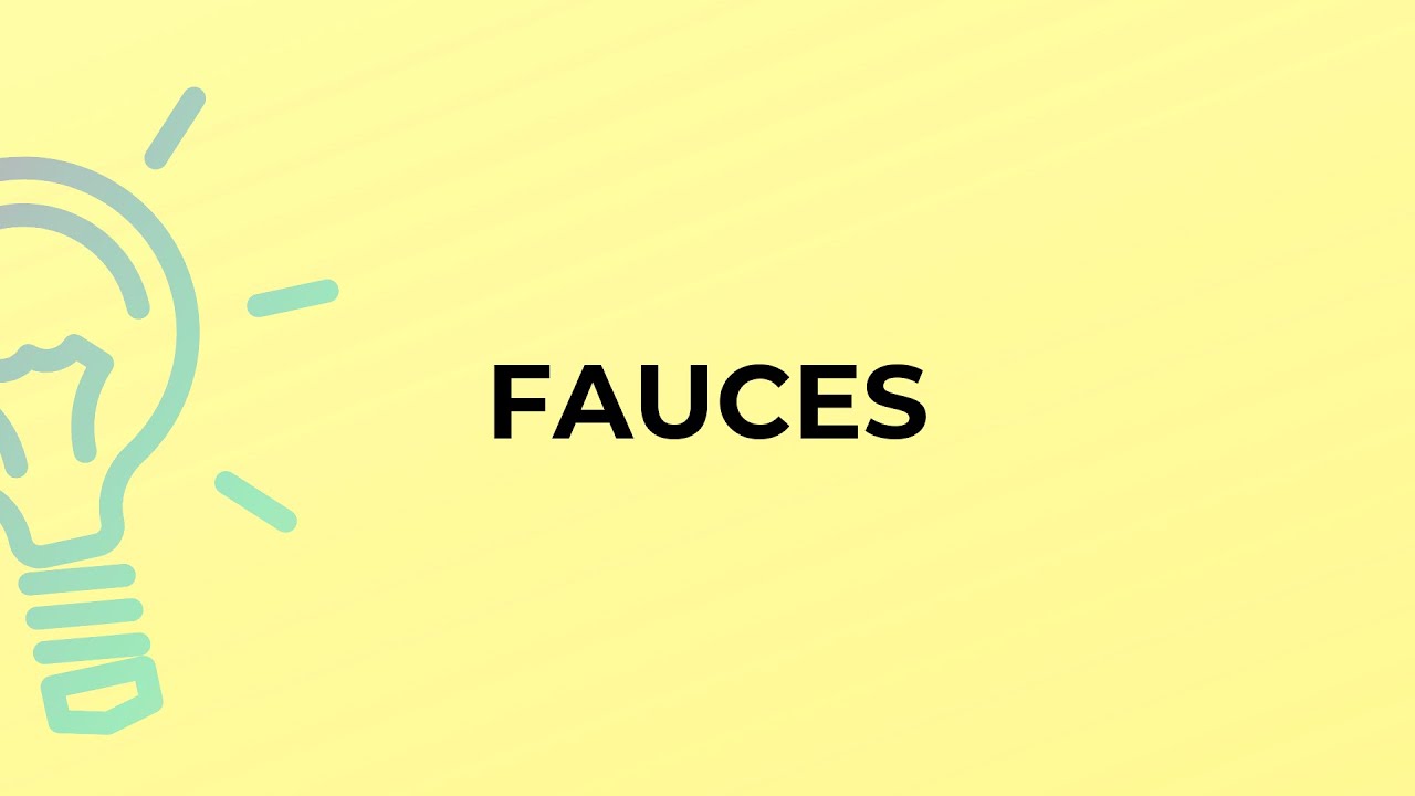 What is the meaning of the word FAUCES? - YouTube