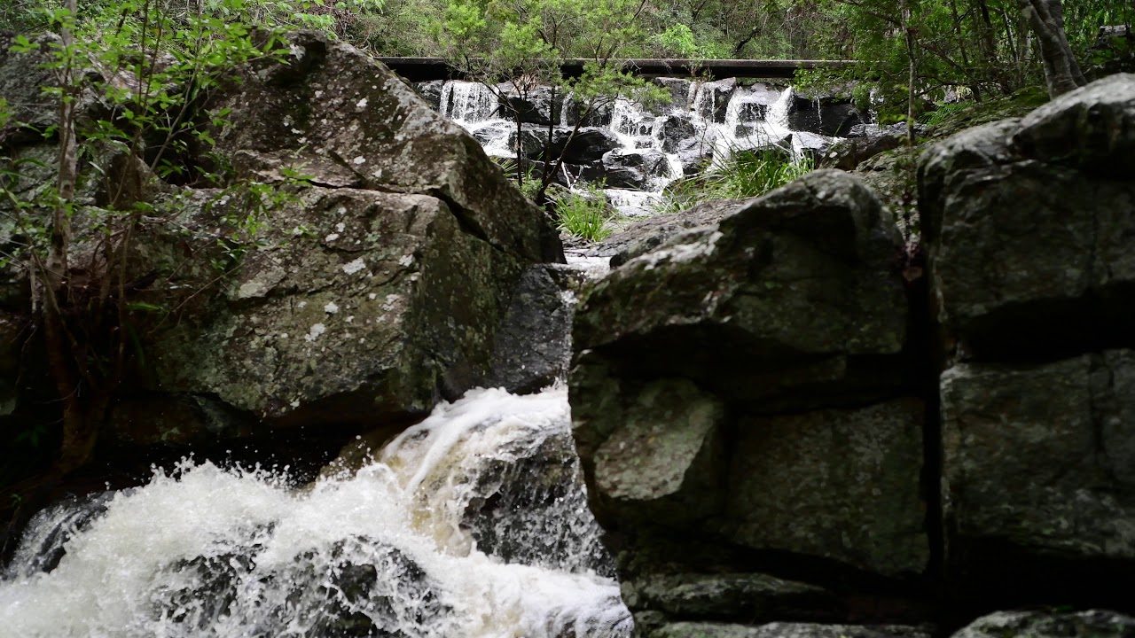 JC Slaughter falls at Mt Coot-ha Brisbane after recent rain - YouTube