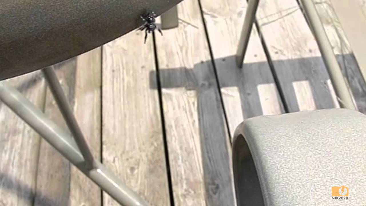 Quick Clip: Spider Safety Line - YouTube