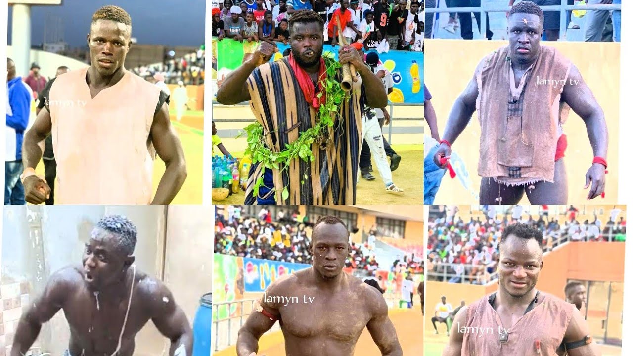 L'entrée, les TOUSS et les combats de CHEIKH T NIANG, EUBEULI, GANDIA ...