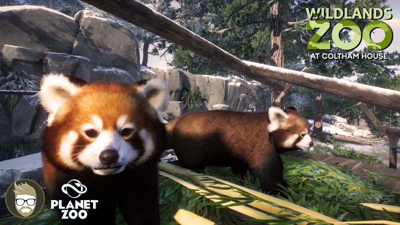 Building For The SUPERIOR Panda species in Franchise Mode | Wildlands Zoo | Planet Zoo - YouTube