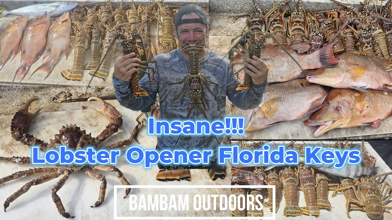 Crazy Florida Keys Lobster Opener #fishing #keywest #lobster # ...