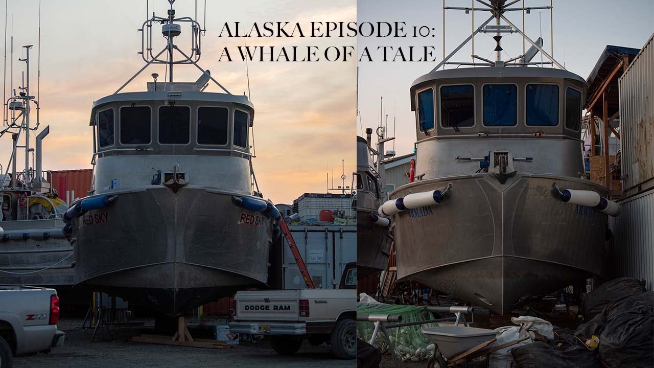 Alaska Episode 10 : A whale of a tale - YouTube