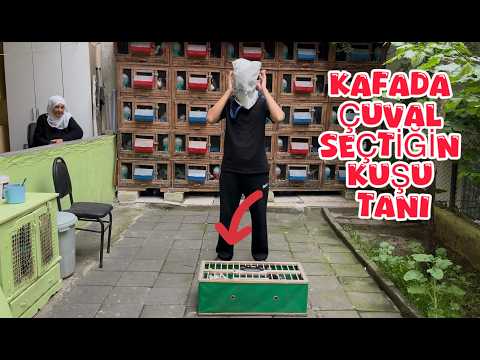 KAFADA ÇUVAL GÖZLER KAPALI SEÇTİĞİN KUŞU TANI ( EMİR HİLE YAPAN KAYBEDER )