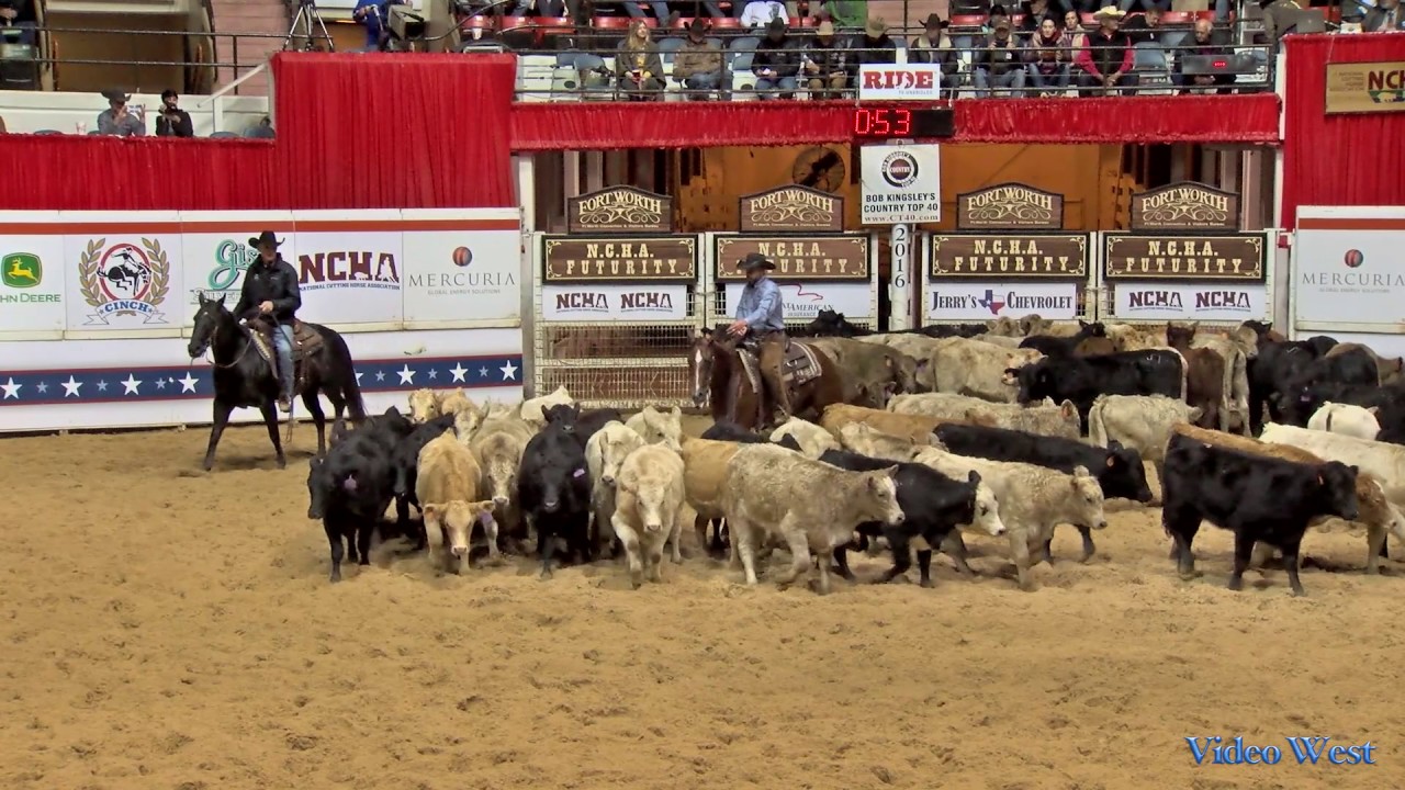 2016 NCHA Open Futurity Champions Second Spot and Matt Gaines - YouTube