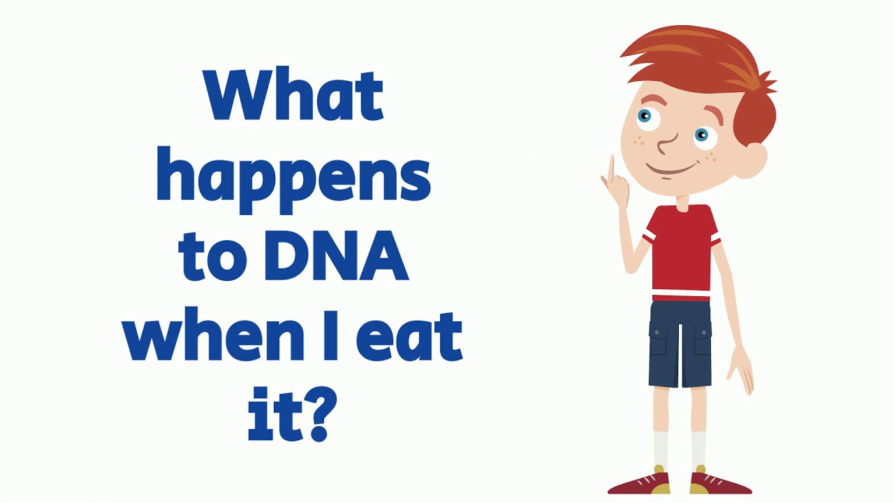 Do You Know GMO DNA Sam Animation - YouTube