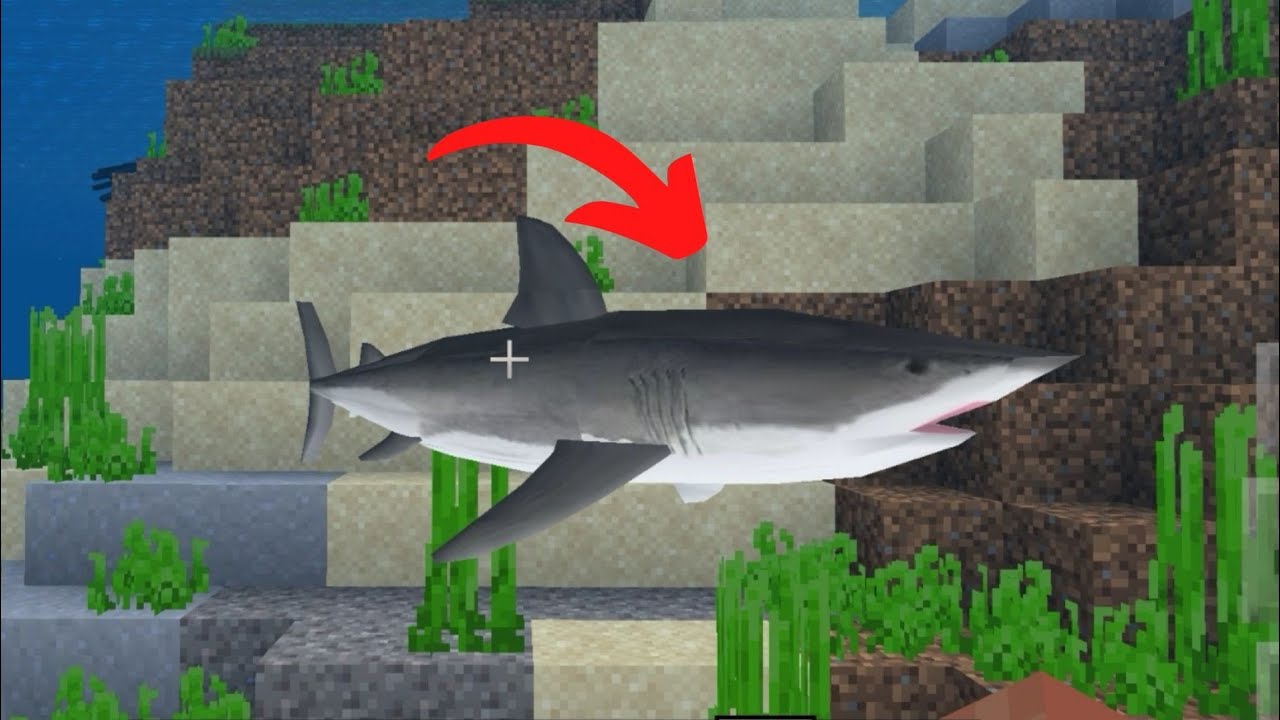 Realistic White Shark Minecraft ? - YouTube