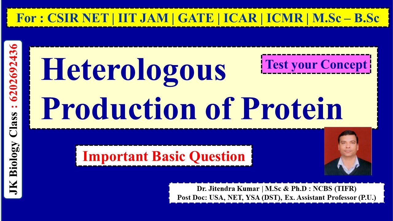 Heterologous Protein | Heterologous Production of Protein ...
