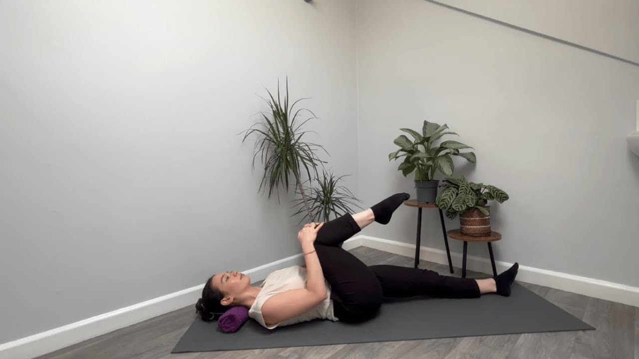 Low Back Mobility Lying Down Exercises - YouTube