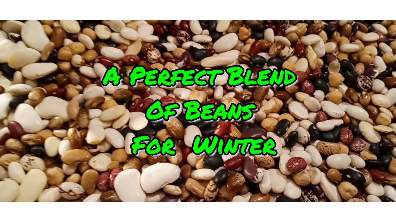 A Perfect Blend Of Beans For Winter - YouTube