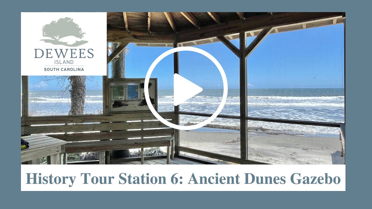 Dewees Island History Tour Stop 6, Ancient Dunes - YouTube