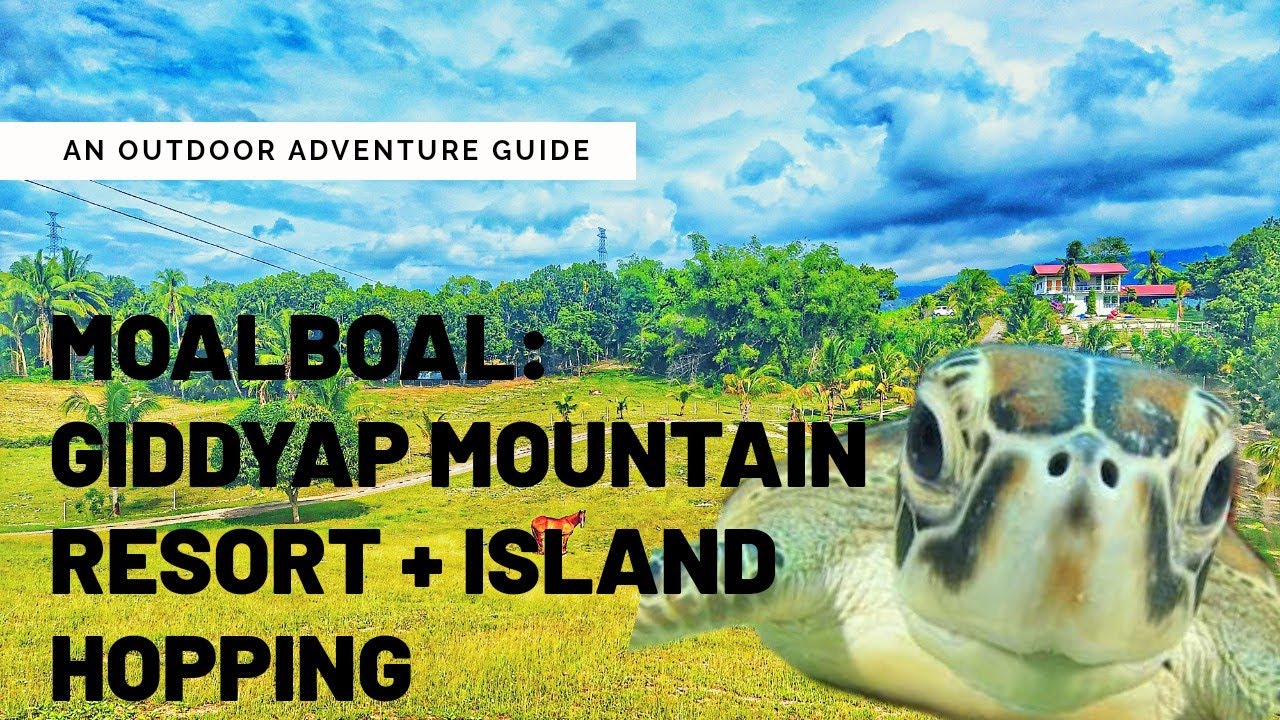 Giddyap Mountain Resort x Island Hopping | Moalboal Cebu | Inday D ...