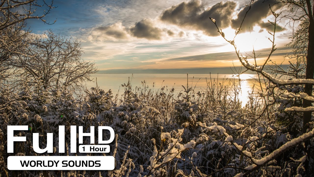 Peaceful Piano Music for Deep Relaxation | Relaxing Music | Calm Music ...