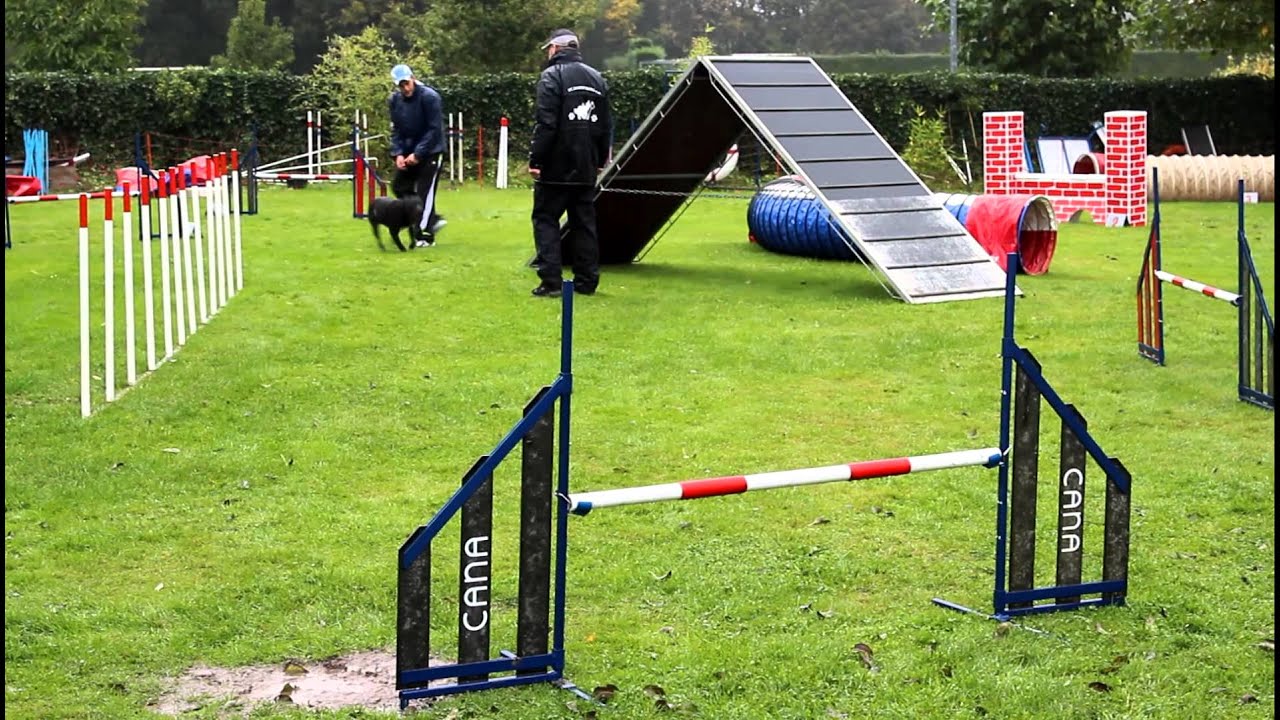 Dave met Izzy Spel MVI_3091.MOV - YouTube