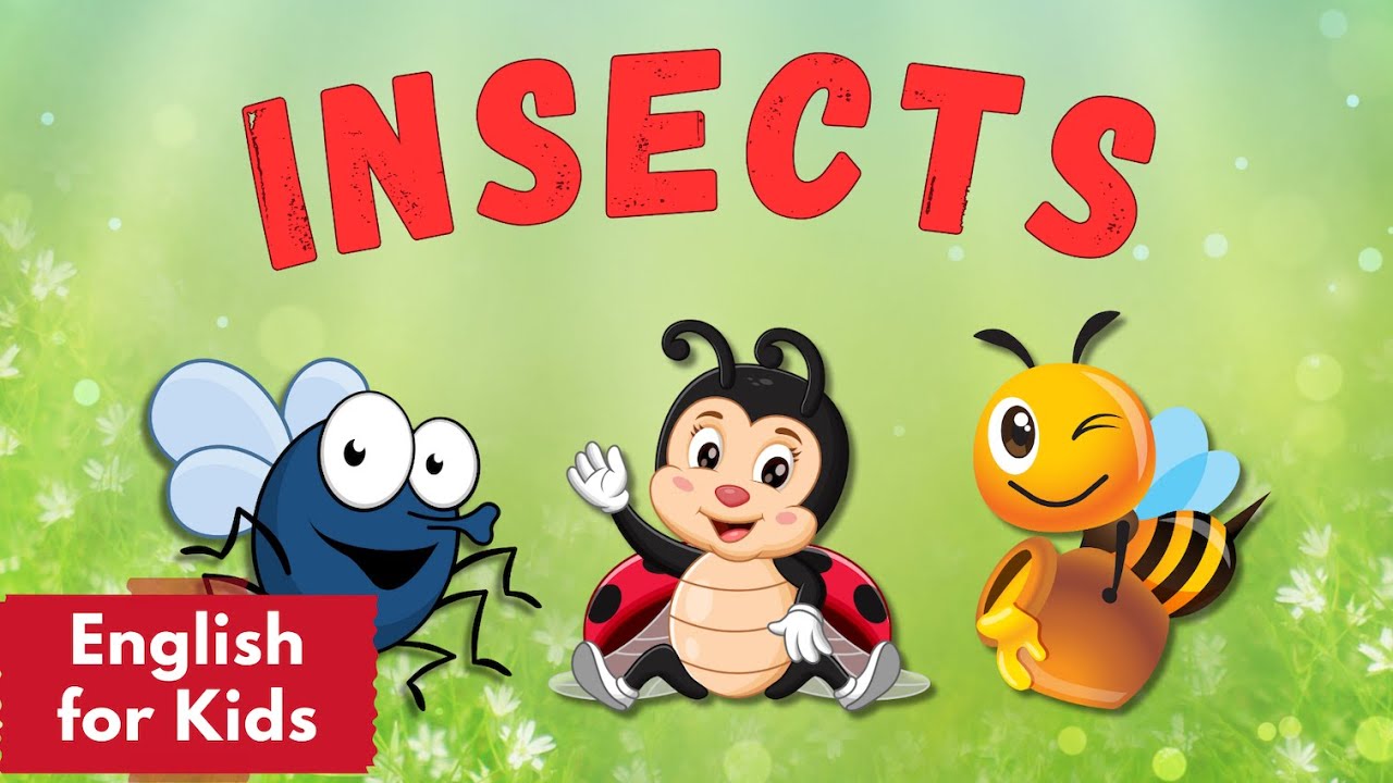Insects for Kids | English for Kids | Educational Videos for children ...