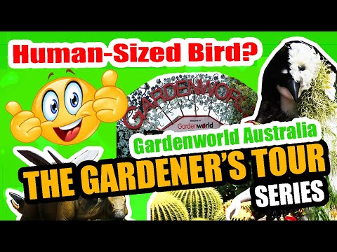 Wonderful Nursery and Garden Centre in Australia | GARDENWORLD | The Gardener's Tour Series EP01