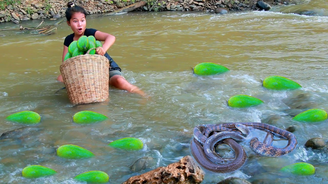 survival in forest - Found Snake and Mango at river - Cooking soup ...