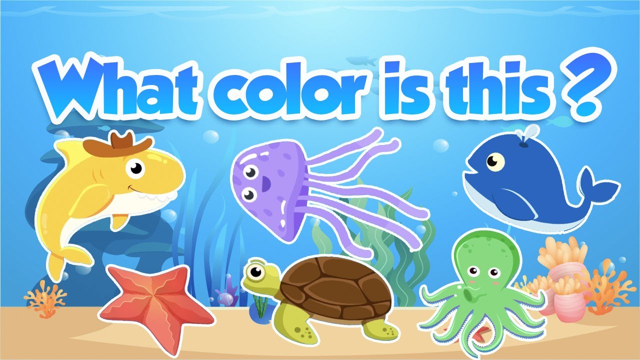 🎨 What color is this? | Learn Colors Learn English Kids | Cartoons by ...