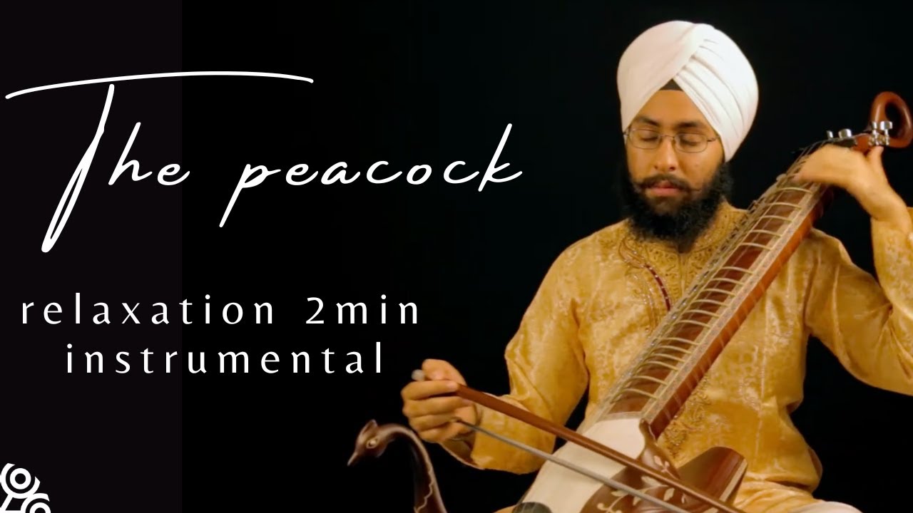 Taus Instrument | The incredible sounds of Indian string instruments ...