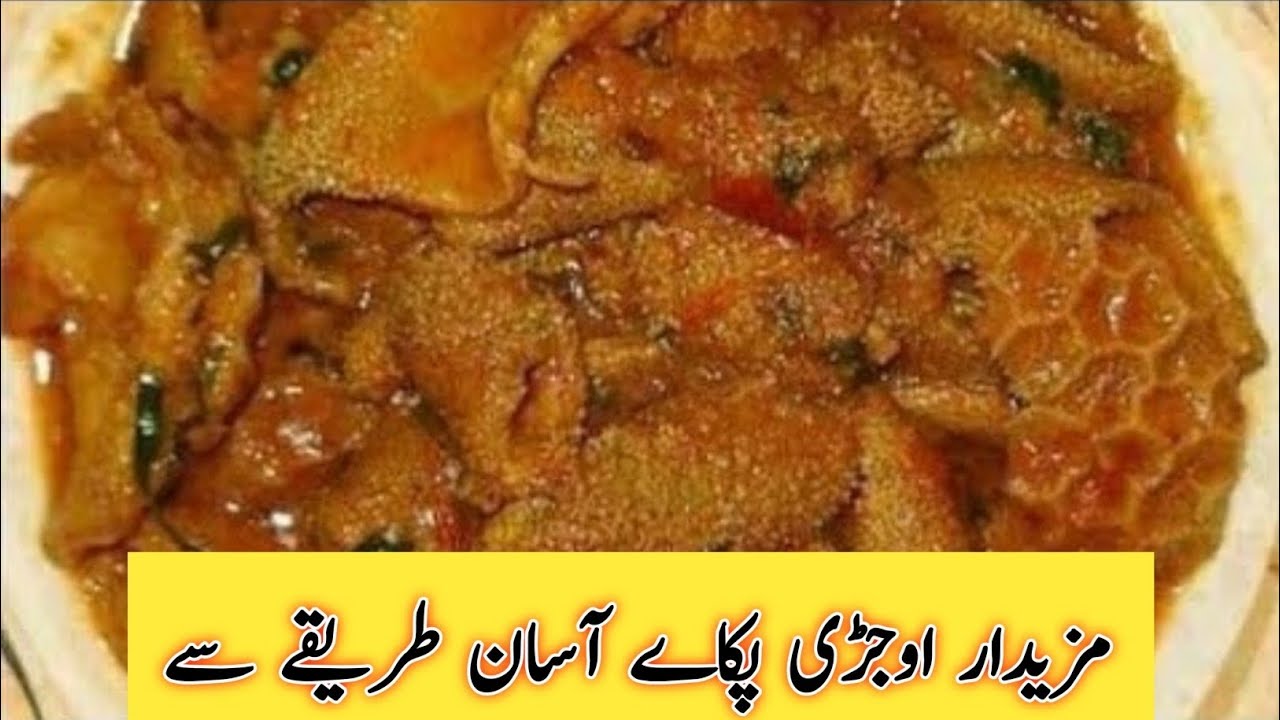 Ojri Recipe | Boti ka Salan | Beef Ojri Recipe by Zarwan Tour and Taste ...