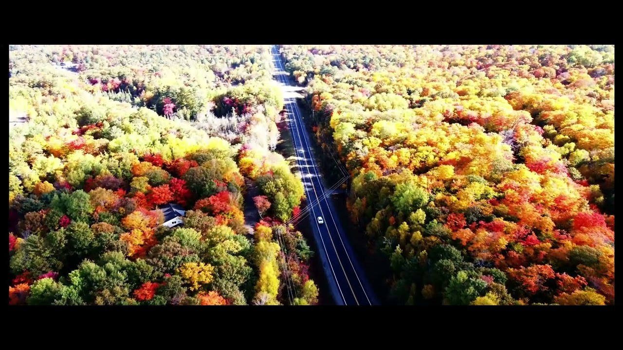 Full Autumn Color Everywhere - 5 - YouTube