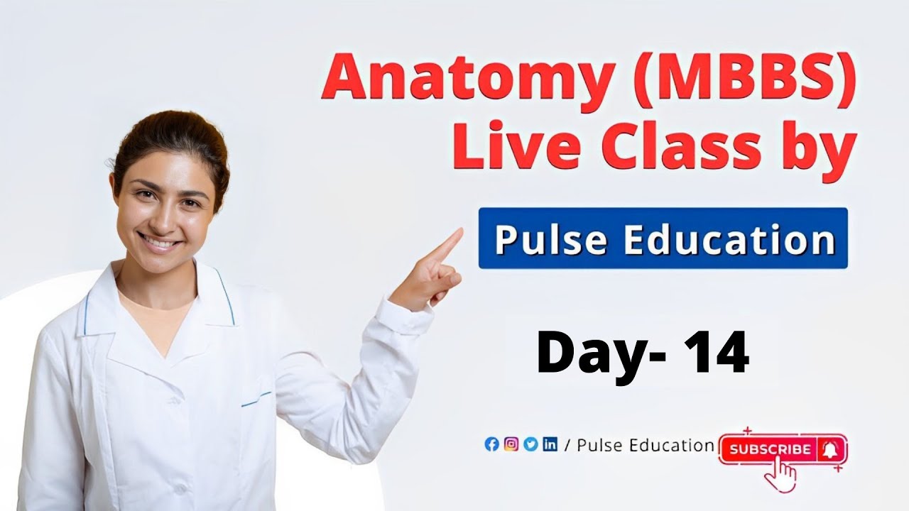 Day 14 : Anatomy (MBBS) Live Class by Pulse Education - YouTube